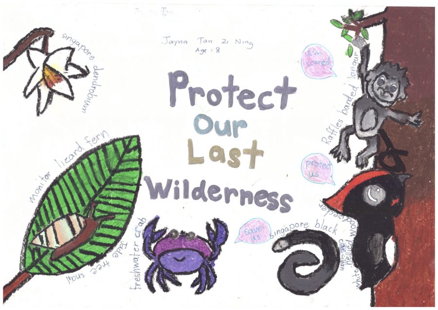 Winners of the Endangered Species Kids Poster Design Contest – Cicada ...
