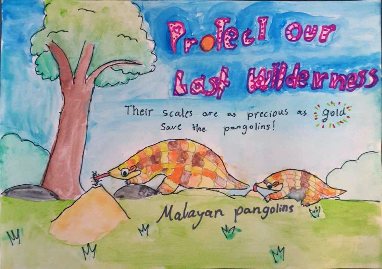 Winners of the Endangered Species Kids Poster Design Contest – Cicada ...