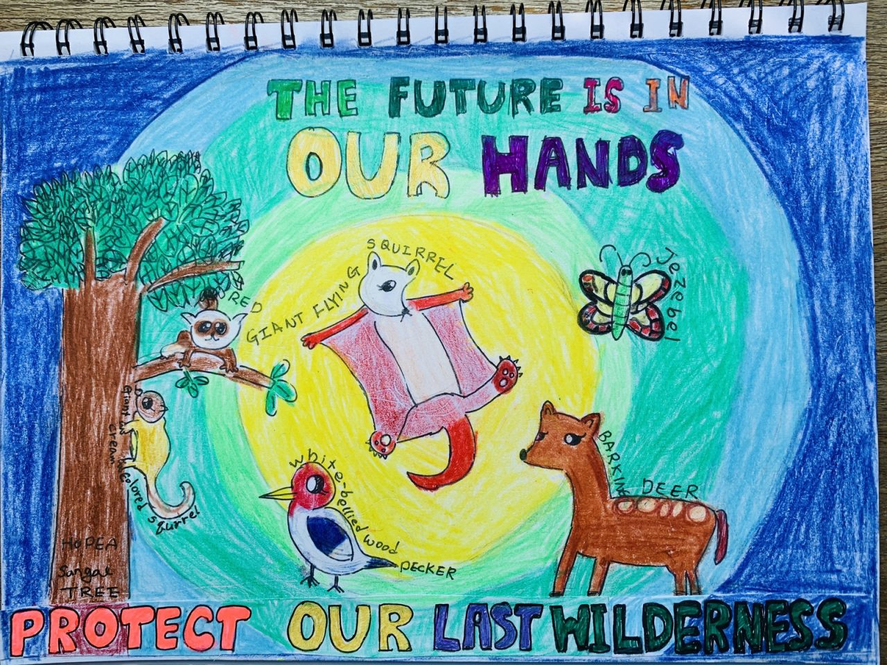 Winners of the Endangered Species Kids Poster Design Contest – Cicada ...
