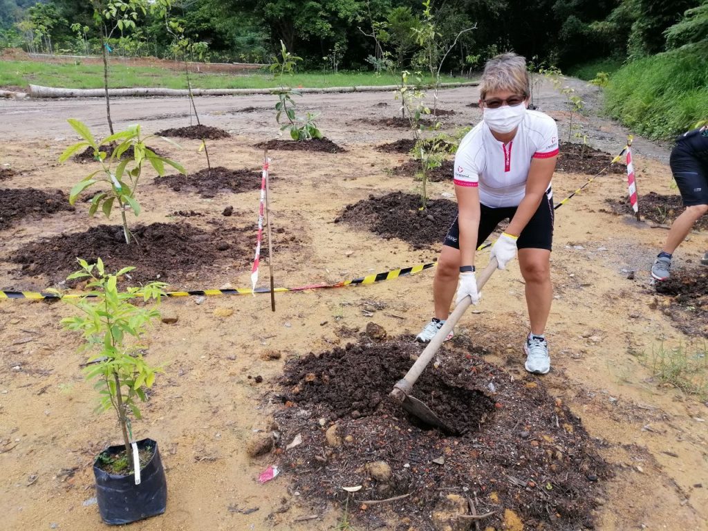 Tree Planting at Pulau Ubin – Cicada Tree Eco-Place