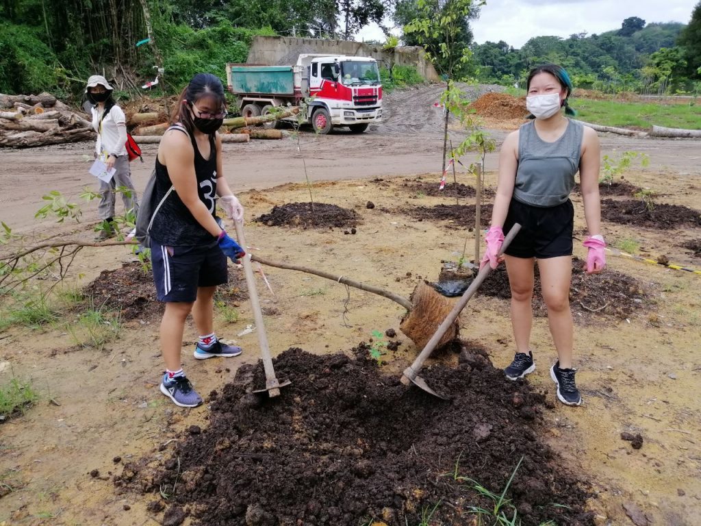 Tree Planting at Pulau Ubin – Cicada Tree Eco-Place